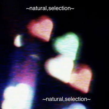 ~Natural,Selection~ (Album) by Pizzamclovin | BandLab