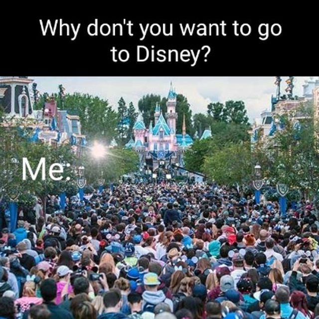 A post by 𝗦𝗽𝗹𝘂𝗳𝗳 | BandLab