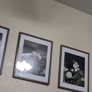 James Brazil rsr9 phonk by Leslie Mellinger | BandLab