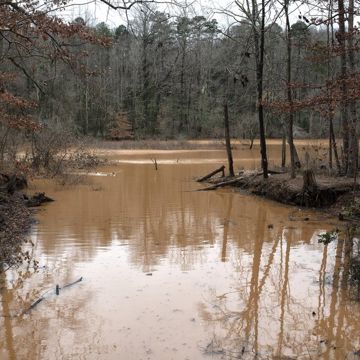 Muddy Water by 🄶.🄽.🄳 Wrage 🎒 | BandLab