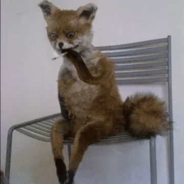 The Pain 📻💯 by jah spooks | BandLab