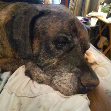 the last time by Jayyy miller | BandLab