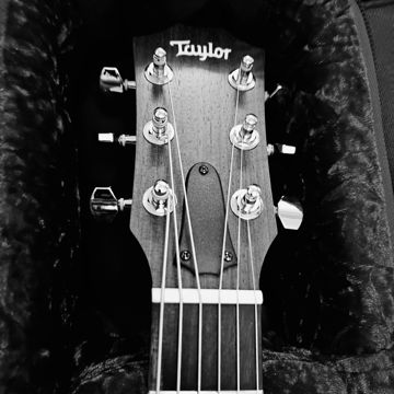 pretty Bird 2 by Jacob Darling | BandLab