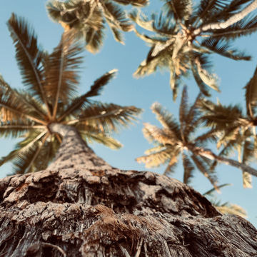 MAHALO by 🪽⭕️💎SKYBO | BandLab