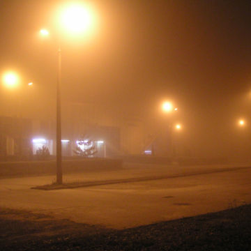 Indica Flow by J. Tune | BandLab