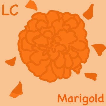 Marigold ~ LC Original Song by ˖° LC ˖° | BandLab