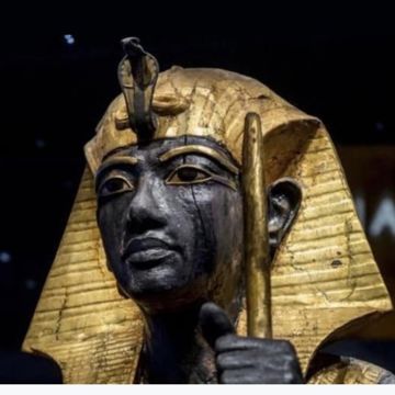 IM MAJOR by MR FLU SEASON | BandLab