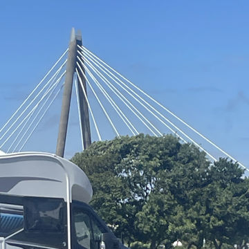 peng tin by SK8 WRLD | BandLab