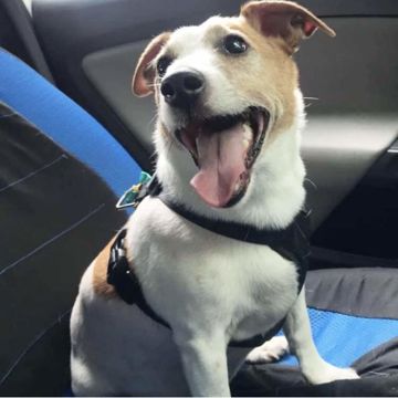 EDDIE DA FAMOUS LOVER by Danny Souris | BandLab