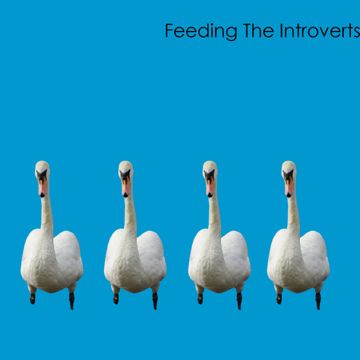 Say It Ain't So by Feeding The Introverts | BandLab