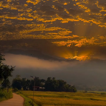 zeidy by thismfleo | BandLab