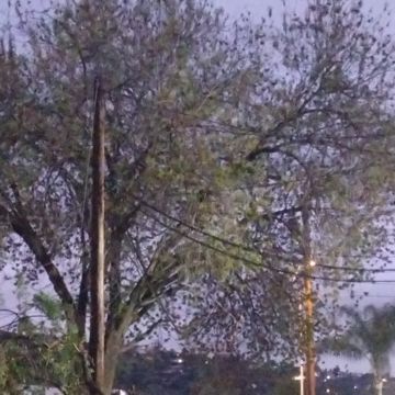 Out Dragging The River(Mason Proper Cover) by B The MC | BandLab