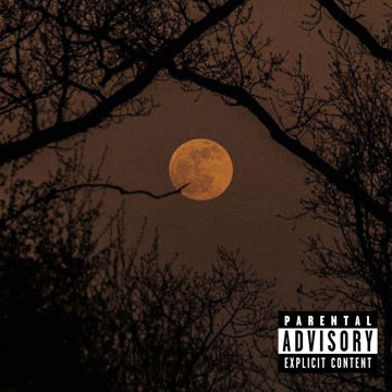 GoingToTheMoon by:(LilRacks💫) FEAT.💸Lil Money💸 SPED UP VERISON by lil ...