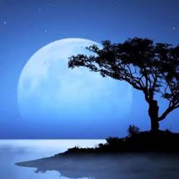 (Short Version) [Calming Chill Beats] Moon Light by Gori Prod.💀🎶 | BandLab