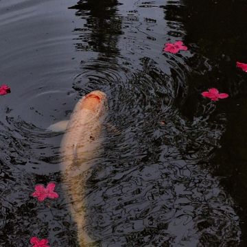 alien gangsters by michael | BandLab