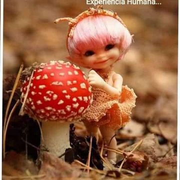 ALIEN SOUL MX small creatures 2 by BRUNO ALFREDO GARCIA RAMIREZ | BandLab