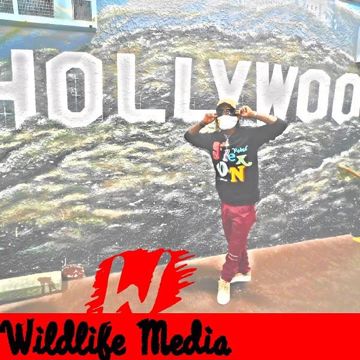 Young Bull Prod.By Sir.Hollywood BPM.153.mp3 by King Fella | BandLab