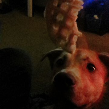 alan walker - all falls down (short cover) by Epic853 | BandLab