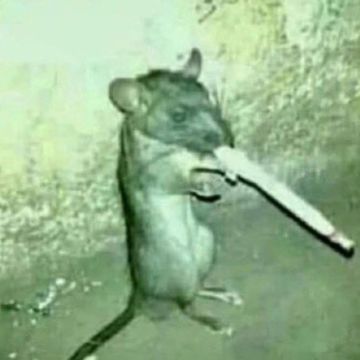 kick the rat by skyypug | BandLab