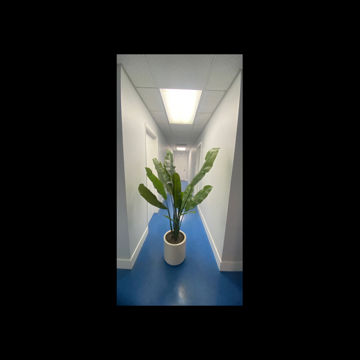 I wanted to do lyrics for this song but I lost myself half way through ...