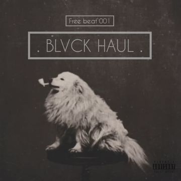 FREE BEAT 001 by BLVCK HAUL | BandLab