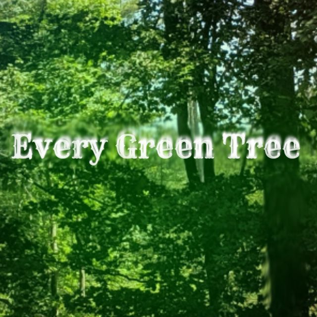Every Green Tree (@every_green_tree) • BandLab: Make Music Online