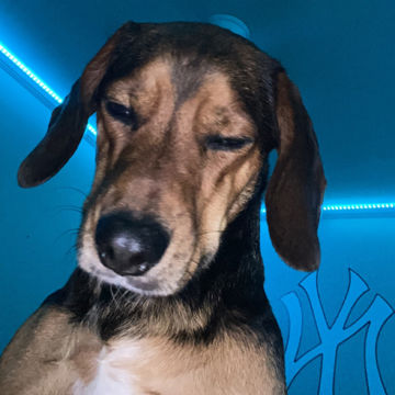 aiden farrell (@aiden_farrell) • BandLab - Make Music Online