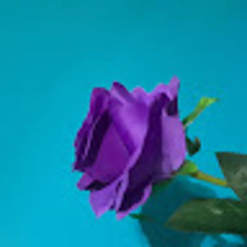 Ally Dolan (@fox_life_) • BandLab - Make Music Online