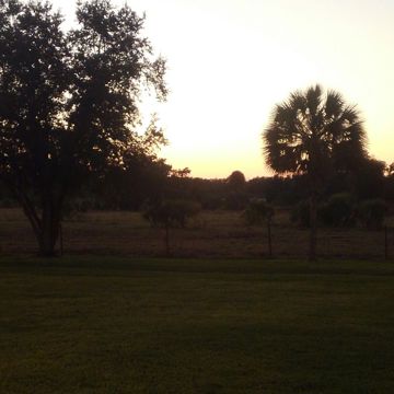 Nicholas Alexopoulos (@ninjanoblade) • BandLab: Make Music Online