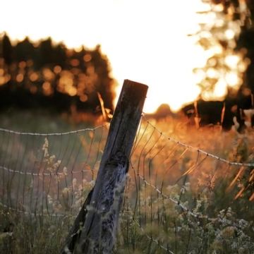 Harlyn Baker (@alaskan_cowboy) • BandLab - Make Music Online