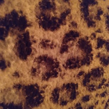 Tonya Helms (@pressure_point) • BandLab - Make Music Online