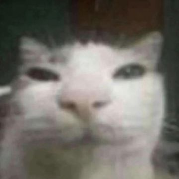 J4X! ARCHIVES (@j4x_archives) • BandLab - Make Music Online