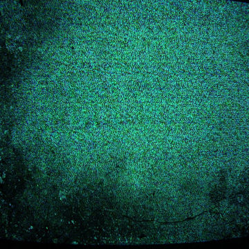 V3RION (@3o3o_) • BandLab - Make Music Online