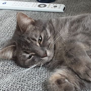 mick master (@mick_master_) • BandLab: Make Music Online