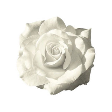 Rose B. (@roseb__) • BandLab - Make Music Online