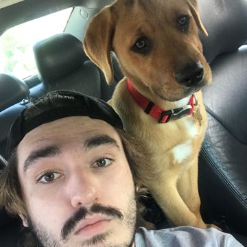 Andrew Alvis (@projectpack) • BandLab - Make Music Online