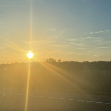 A post by tav (CONSCIENCELESS OUT NOW) | BandLab