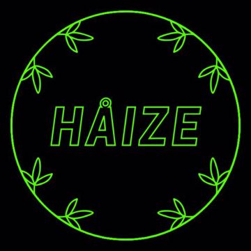 A post by HÅIZE ᴼᶠᶠᶦᶜᶦᵃˡ | BandLab