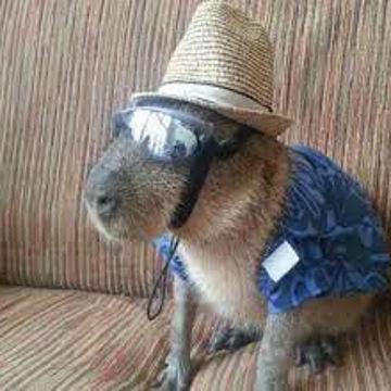 Preppy_shrek (@preppy_shrek) • BandLab: Make Music Online