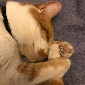 Kuitar (@kanlegand) • BandLab - Make Music Online