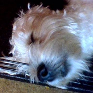 ALIJAH JONES (@skinny_bones) • BandLab - Make Music Online