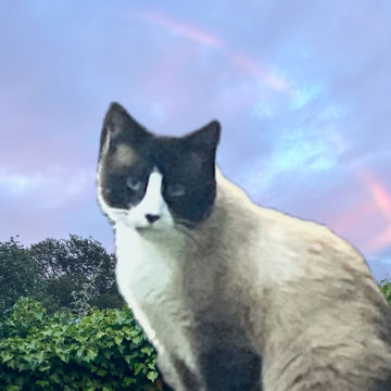 Larray 🎶 (@larry_365) • BandLab - Make Music Online