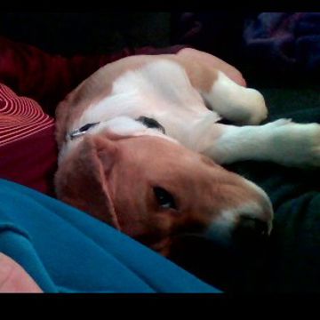 A post by Richard bickle (online) | BandLab