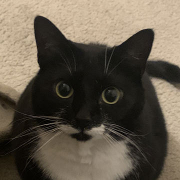 Shay H (@weloveshay) • BandLab - Make Music Online