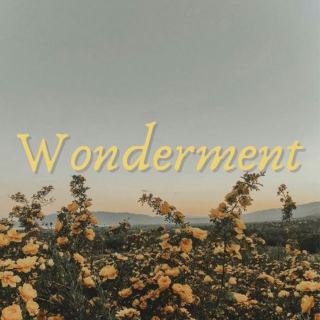 Wonderment (@wonderment_) • BandLab: Make Music Online