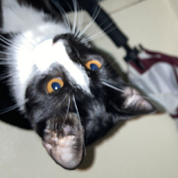 Somewhere by Bryan Tovar | BandLab