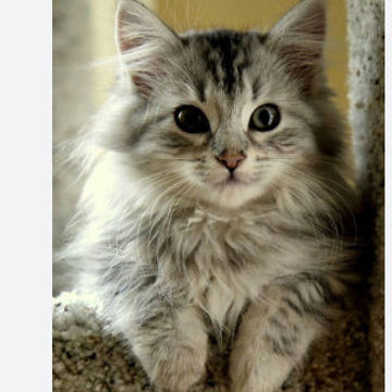 A post by Darija | BandLab