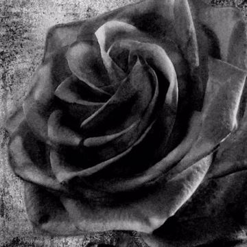 Fox Moore (@fox_moore) • BandLab: Make Music Online