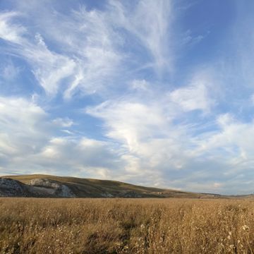 Sunshine_o (@mike_0ooo) • BandLab - Make Music Online