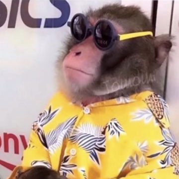 Dominic Brock (@therealdominic) • BandLab - Make Music Online